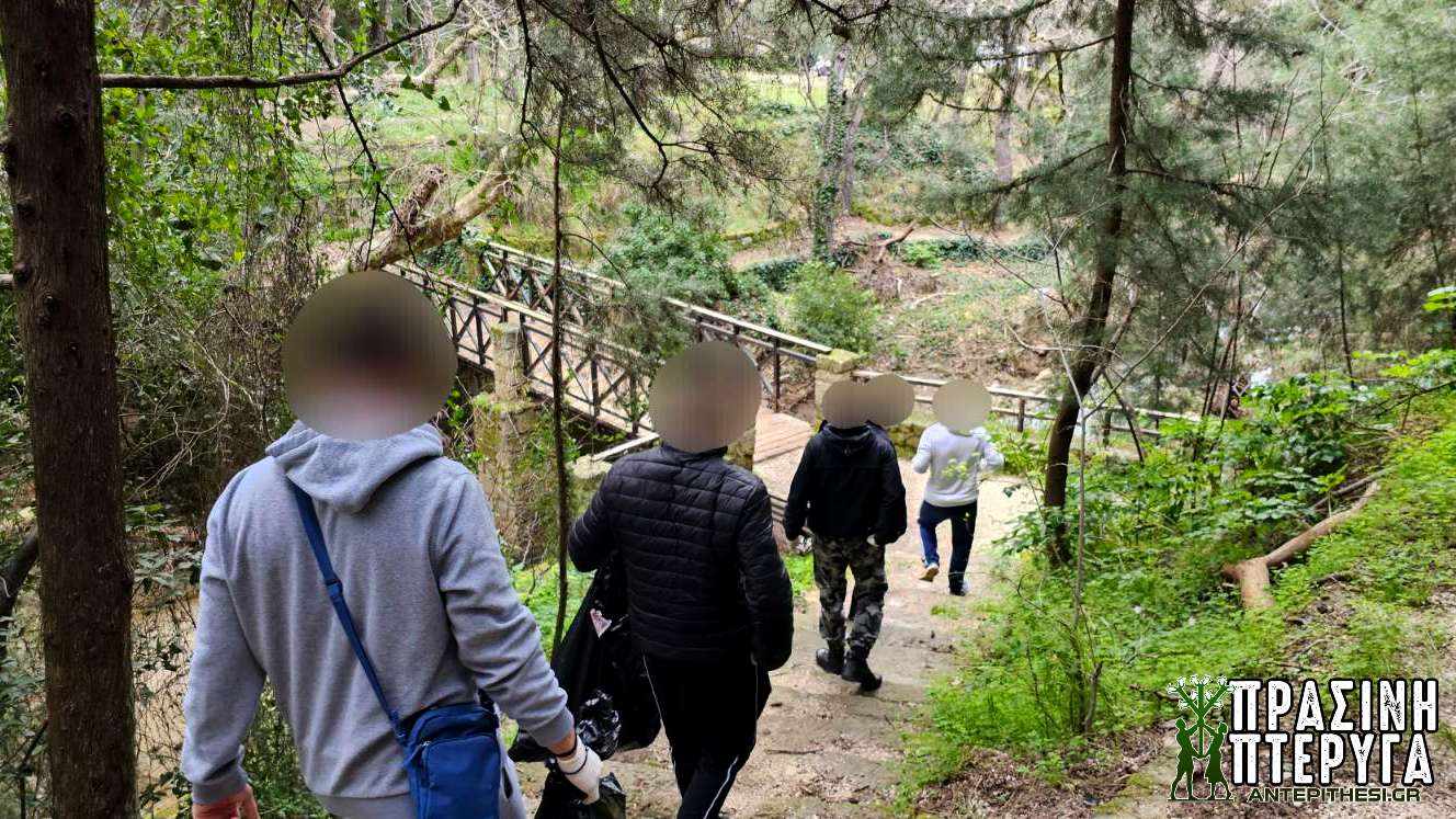 Καθαρισμός Δασικής και Αρχαιολογικής έκτασης από το Μέτωπο Νεολαίας ...
